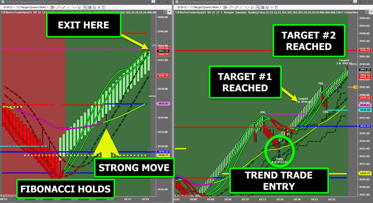 Fibonacci Day Trading Software - Nexgen Software Services