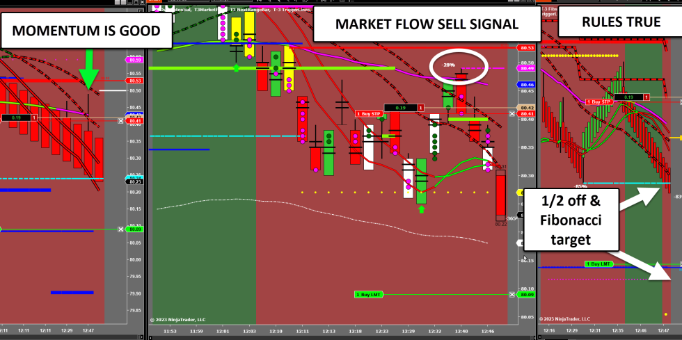 Fibonacci Day Trading Software - Nexgen Software Services